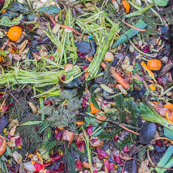 Food organics